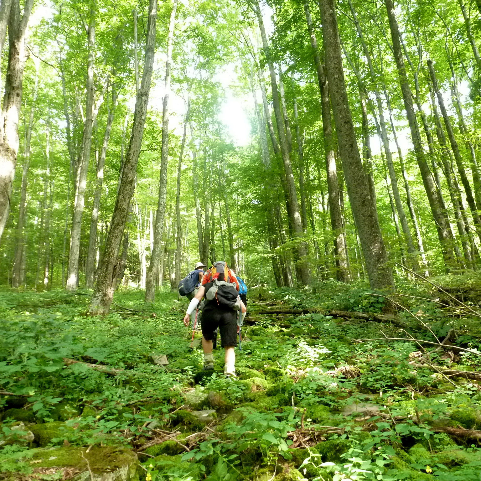 Adventure Untamed | New York, NY| Hiking, Backpacking, Rafting ...